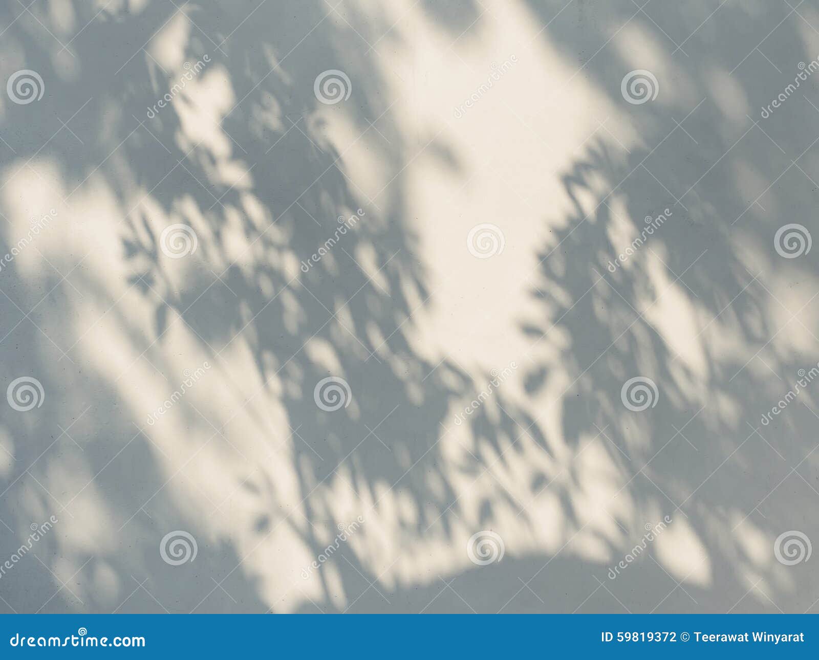 Tree Leaves Shadow on Wall Background Stock Photo - Image of blur ...
