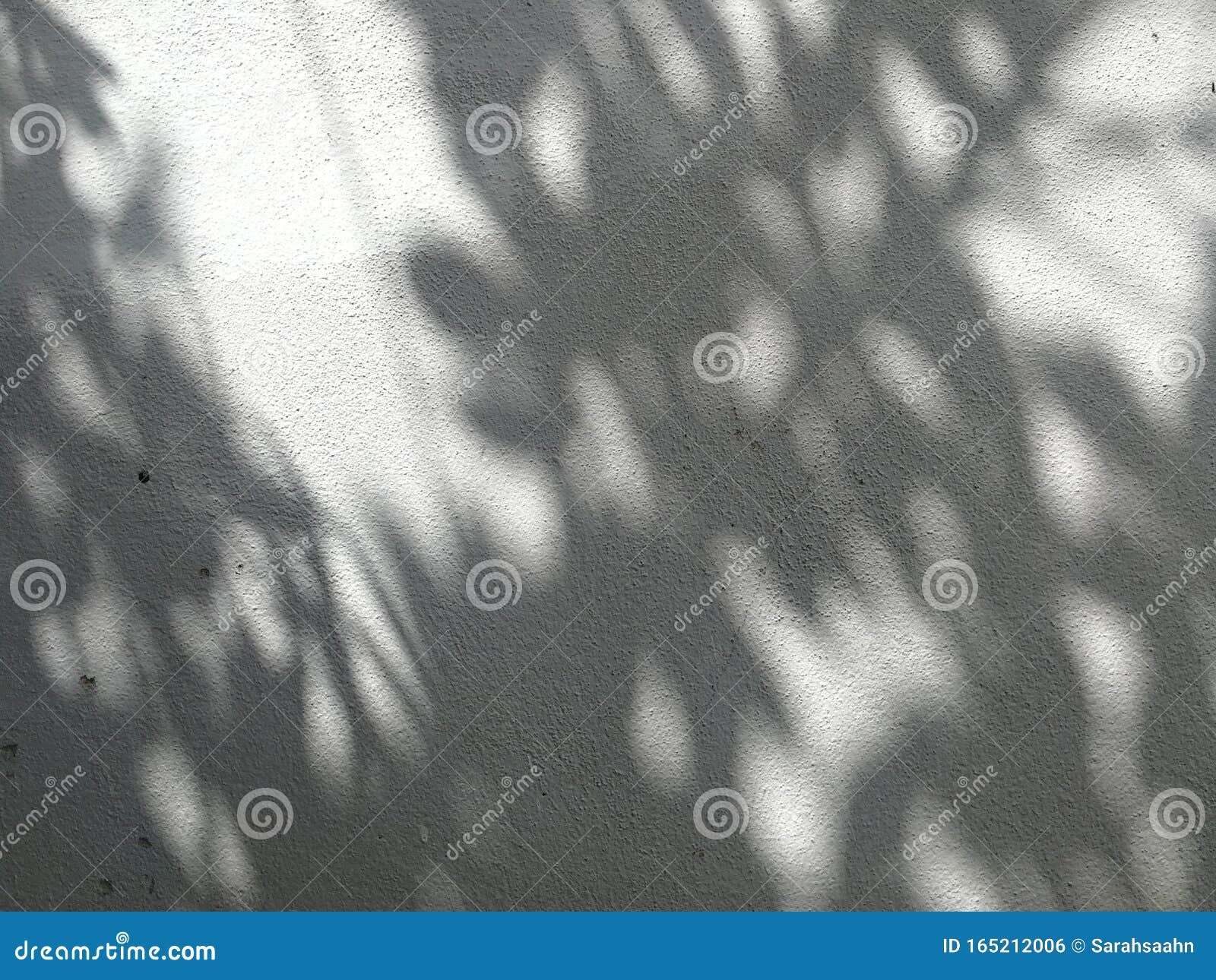 Tree Leaves Shadow on the Wall Stock Photo - Image of shadows, nature ...