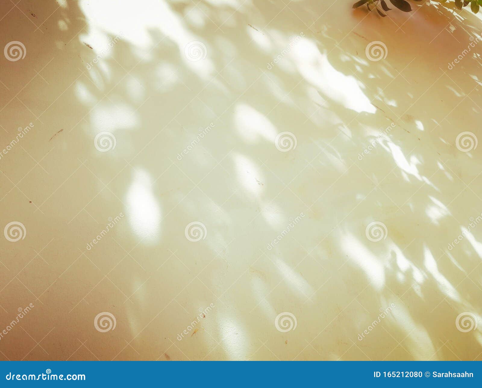 Tree Leaves Shadow on the Wall Stock Photo - Image of wall, shades ...
