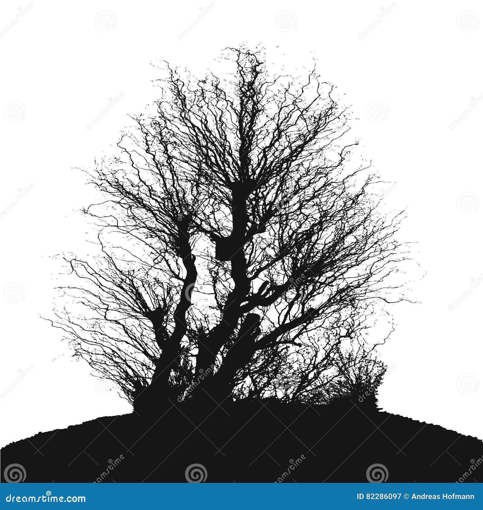 Tree without Leaves Vector Illustration, EPS 10. Stock Illustration ...