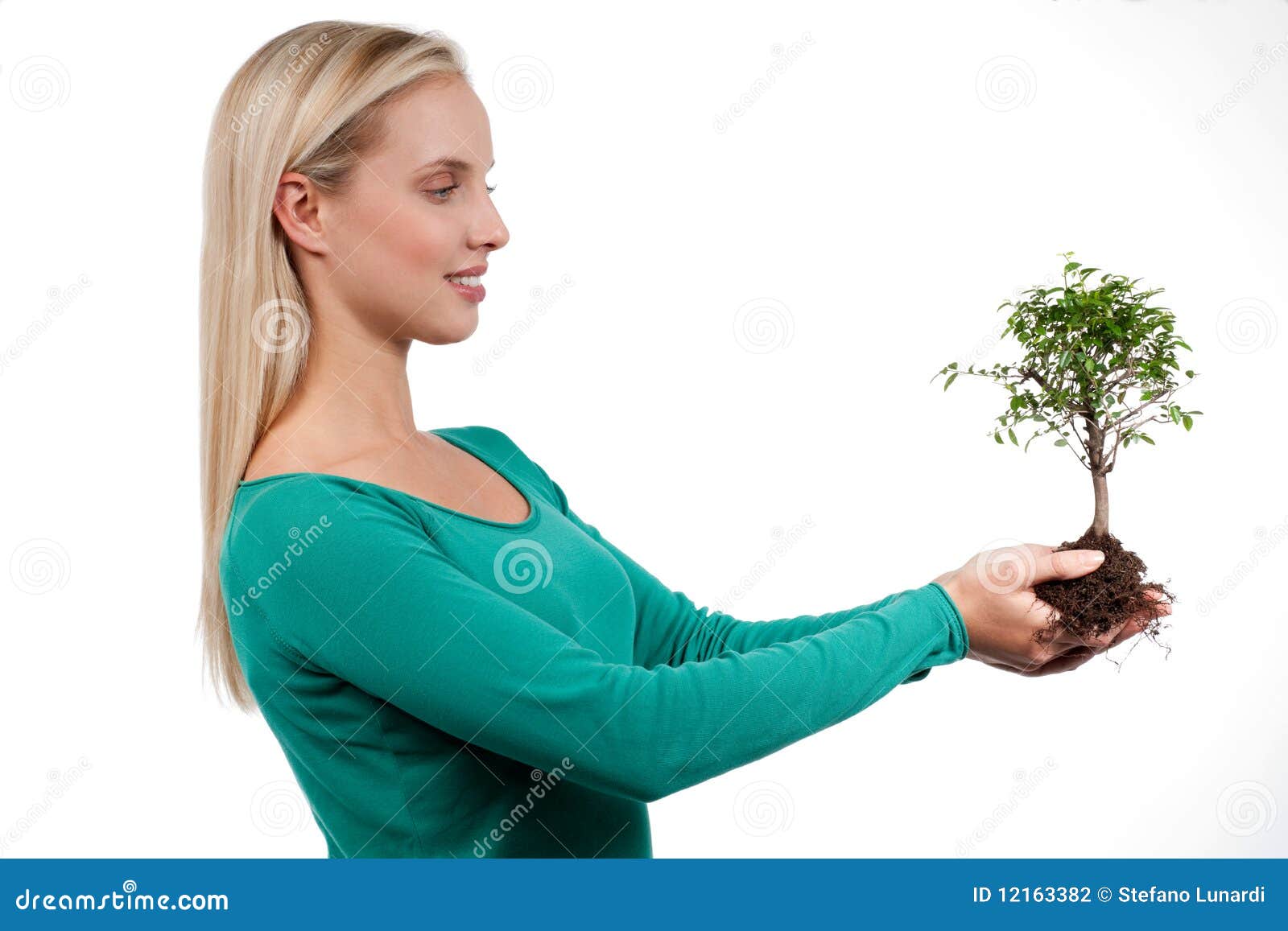 Tree of life stock photo. Image of eyes, white, environment - 12163382