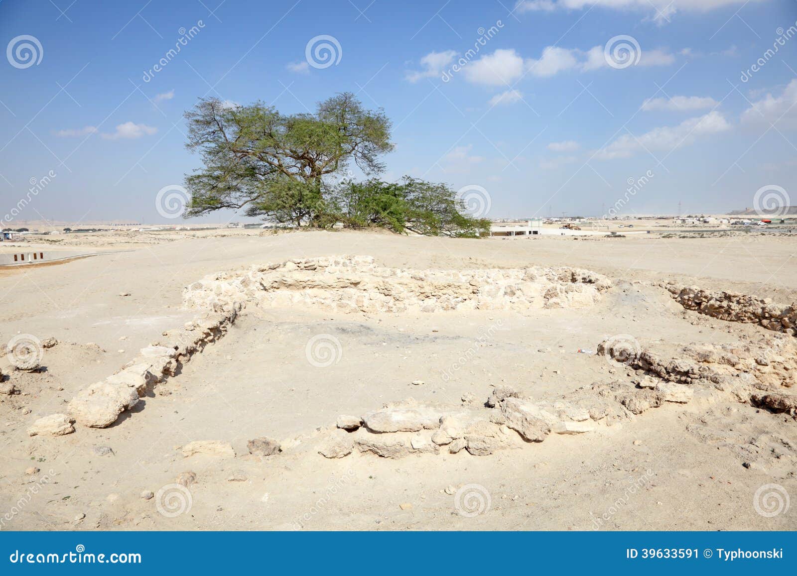 The Tree of Life in Bahrain Stock Image - Image of ruin, arabia: 39633591