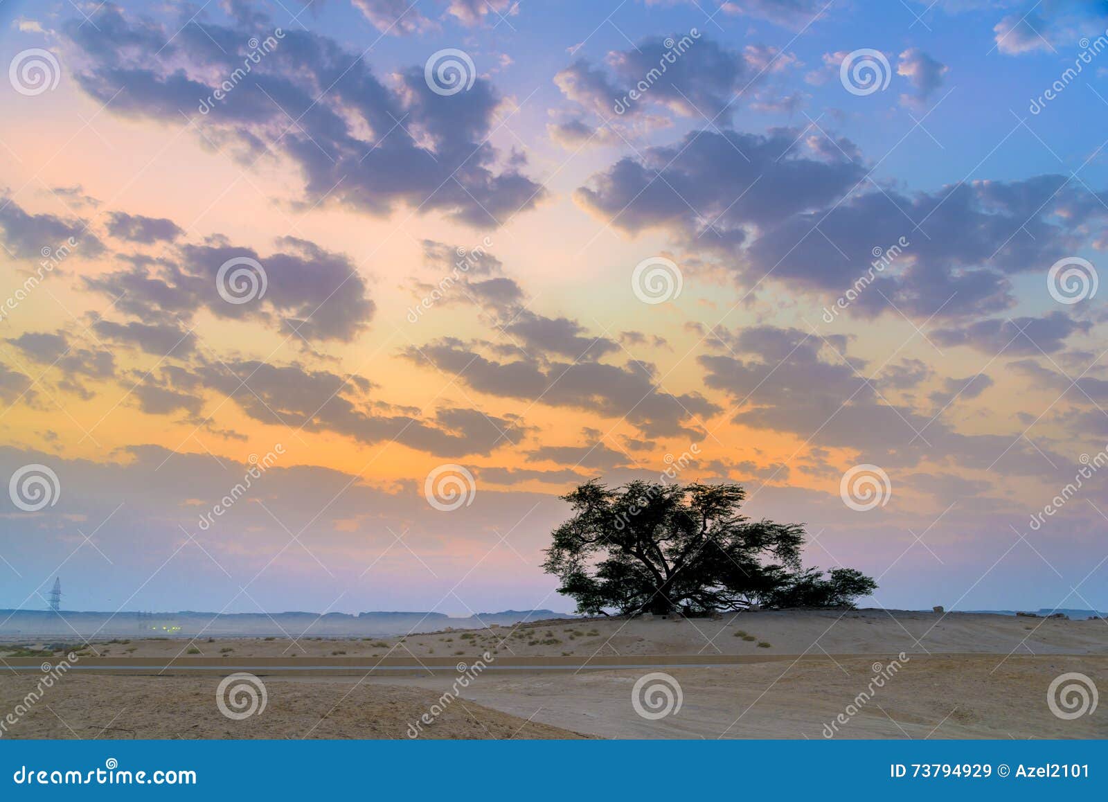 Tree of Life in Bahrain in Landscape Format Stock Image - Image of ...