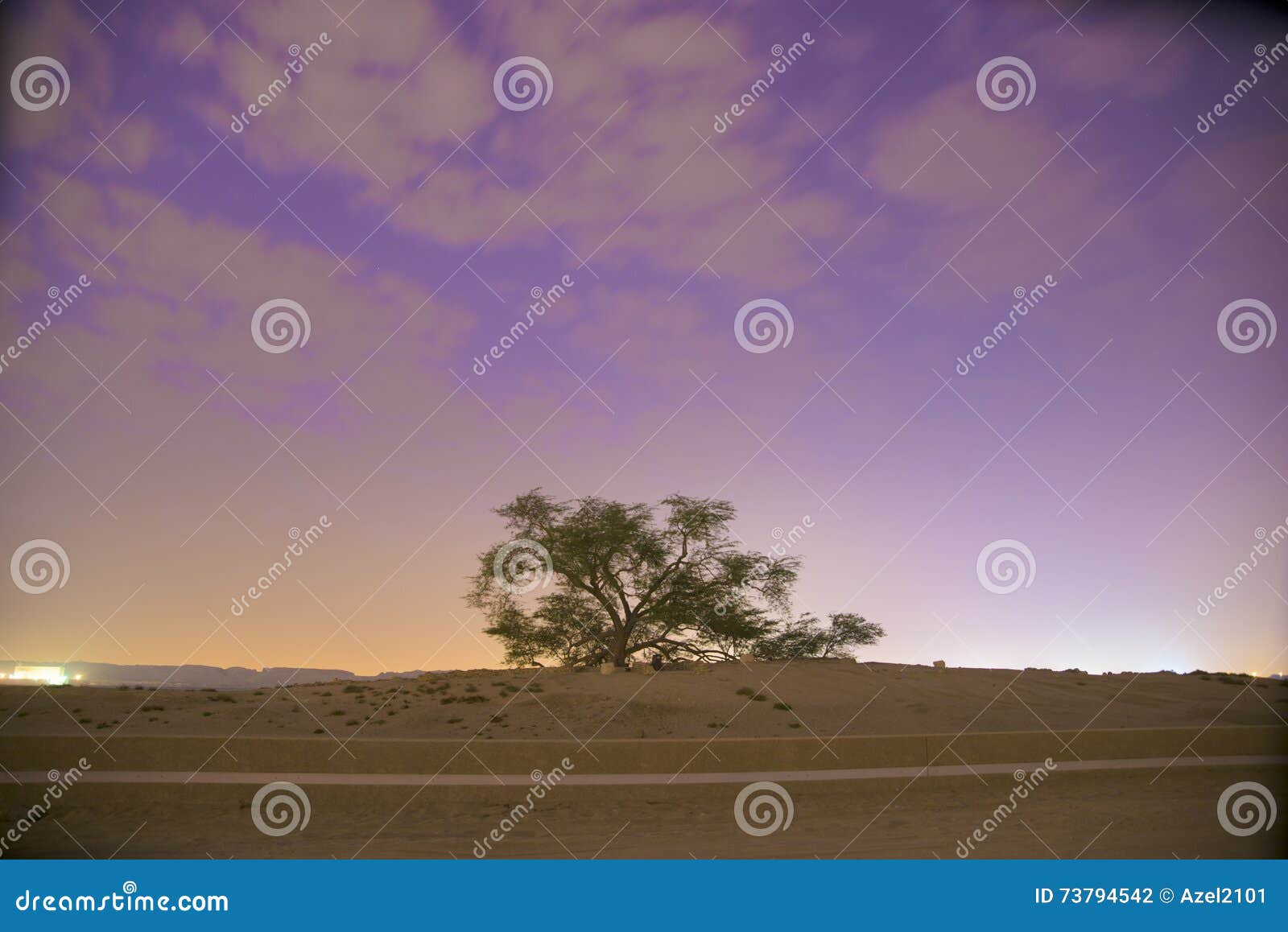 Tree of Life in Bahrain Sunrise Stock Photo - Image of desert, landmark ...