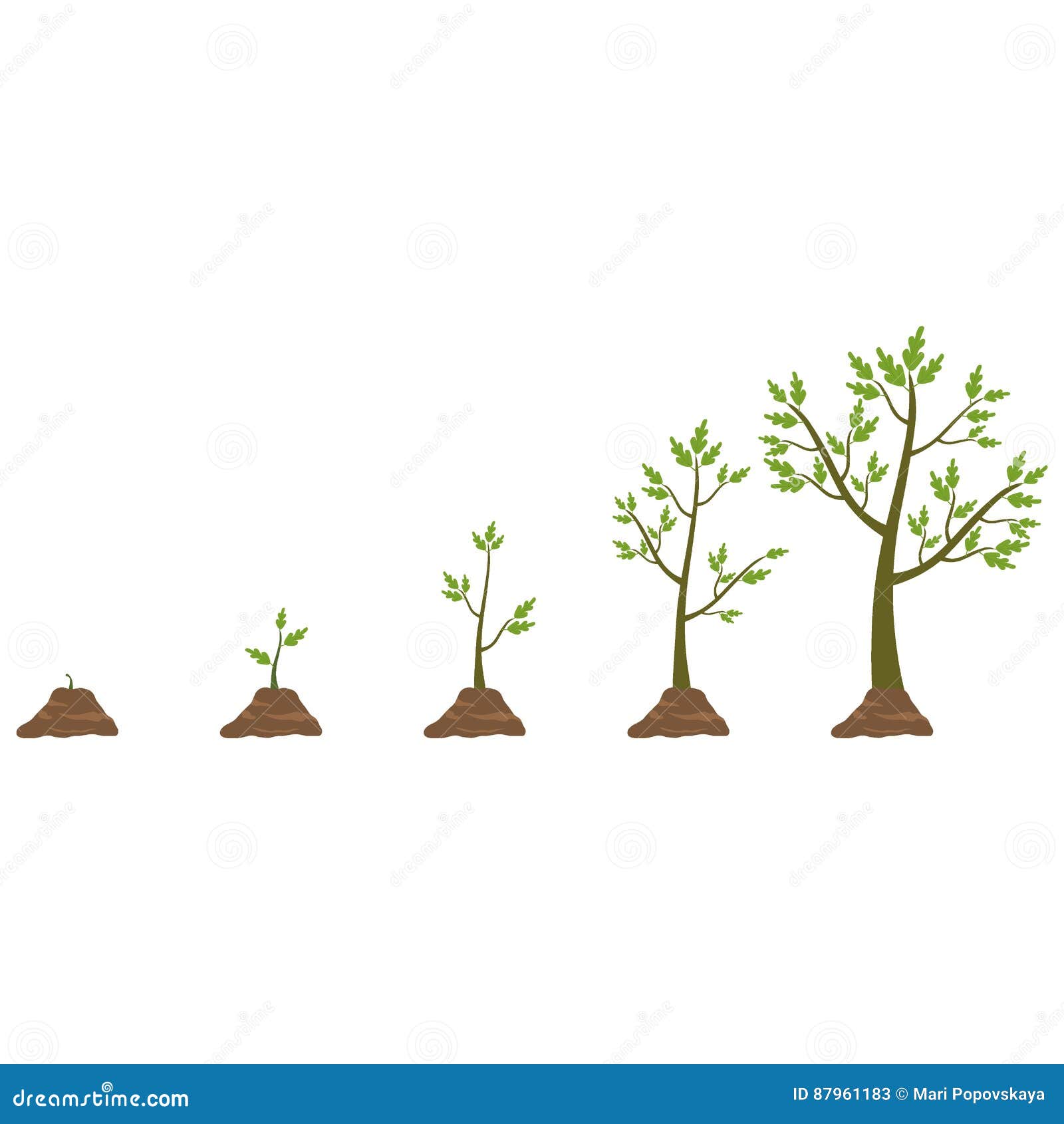 Tree Life Cycle Cartoon Vector | CartoonDealer.com #87961183