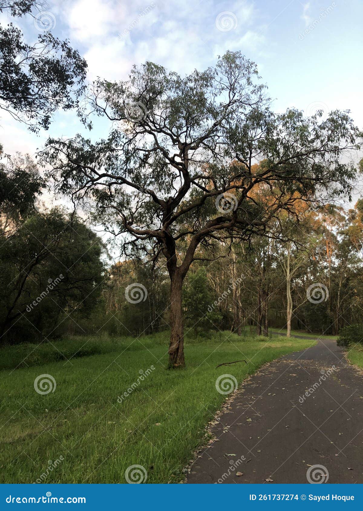 Flinders Slopes Stock Photos - Free & Royalty-Free Stock Photos from ...