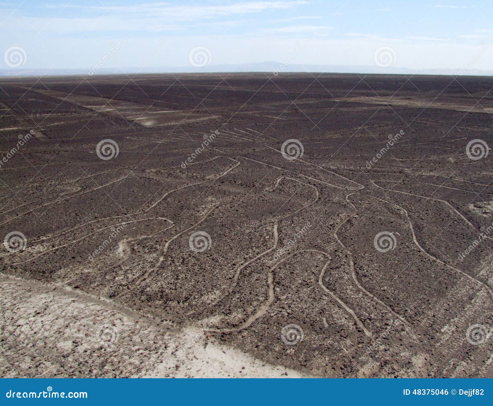 Tree of life, Nazca Lines stock photo. Image of grit - 48375046