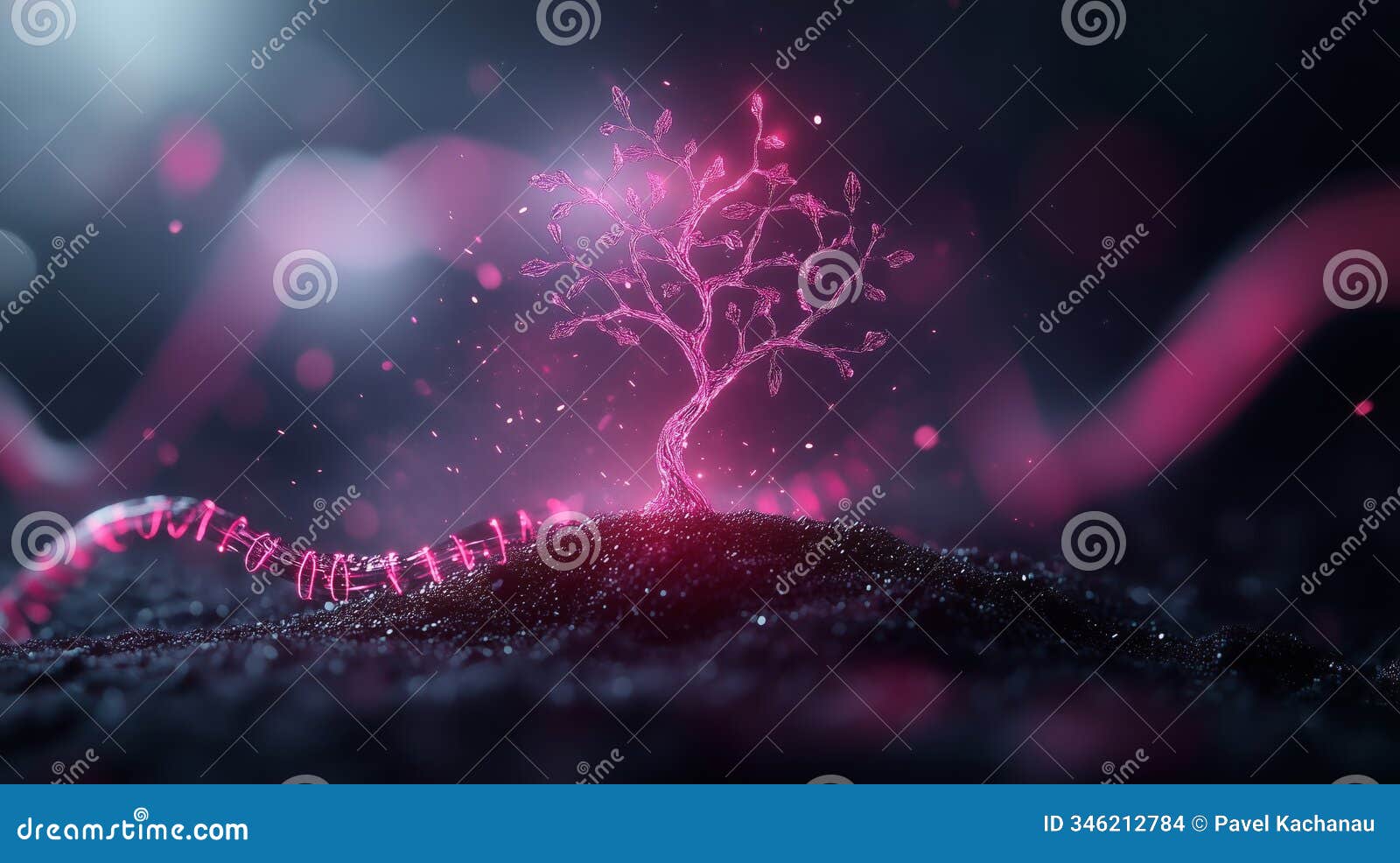 Tree of Life Shines on Darwin Day Stock Photo - Image of wonder, nature ...