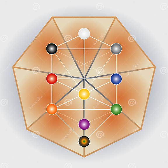 Tree of Life Symbol and Heptagon Stock Vector - Illustration of death ...