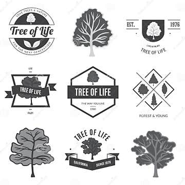 Tree of Life. Trees Fo Lables and Banners Stock Vector - Illustration ...