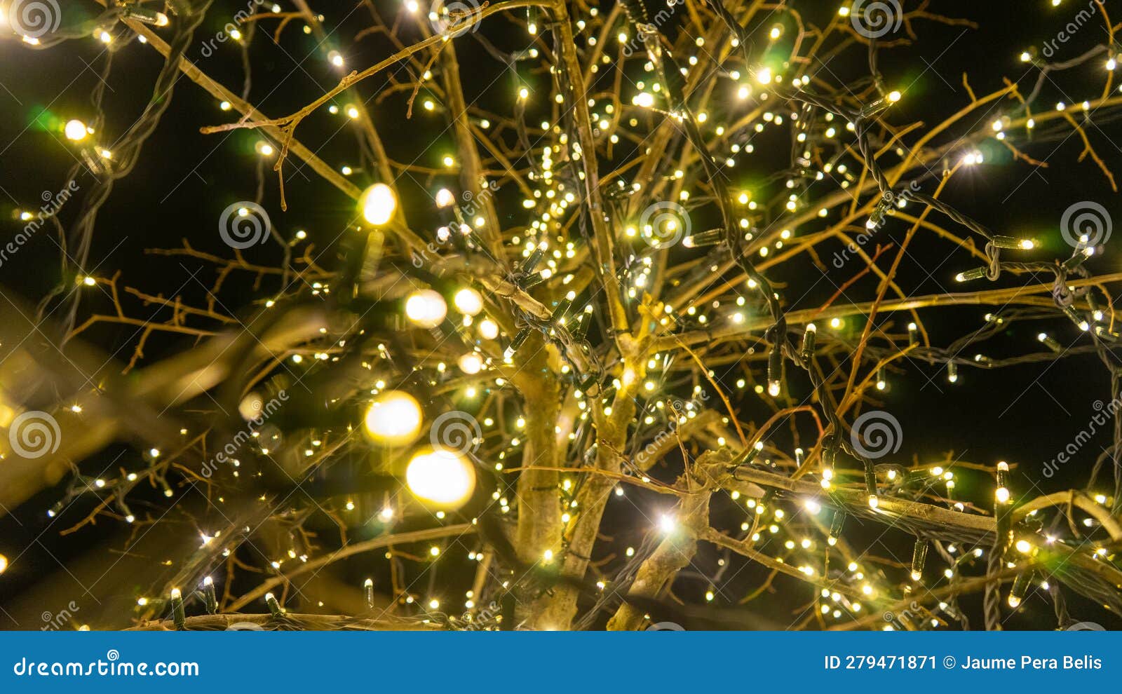Tree light stock image. Image of twilight, glow, outside - 279471871
