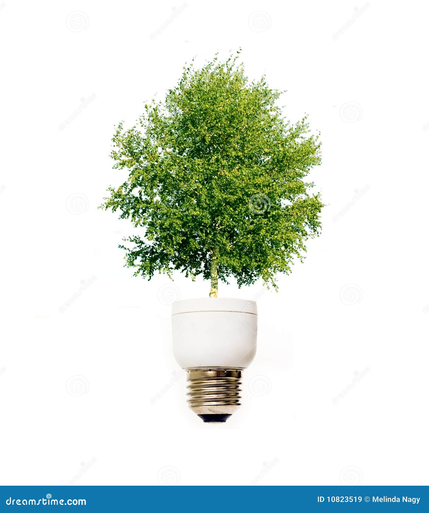 Tree in light bulb stock image. Image of light, green - 10823519