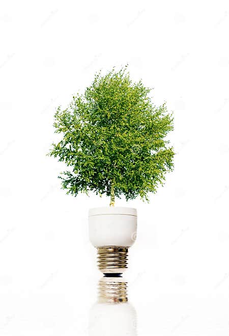 Tree in light bulb stock image. Image of creative, renewable - 10833027