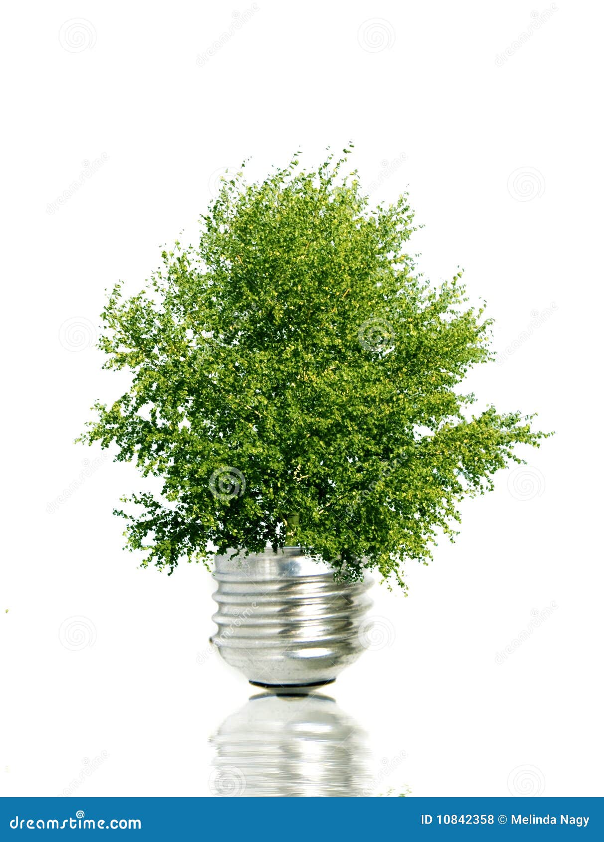 Tree in light bulb stock photo. Image of environmental - 10842358