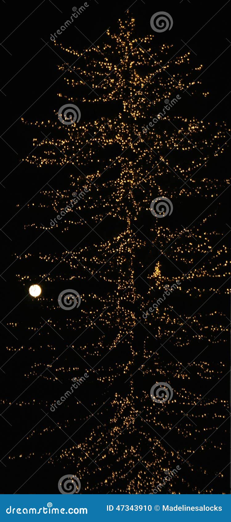 Tree with Lights and Full Moon Stock Photo - Image of lights, decorated ...