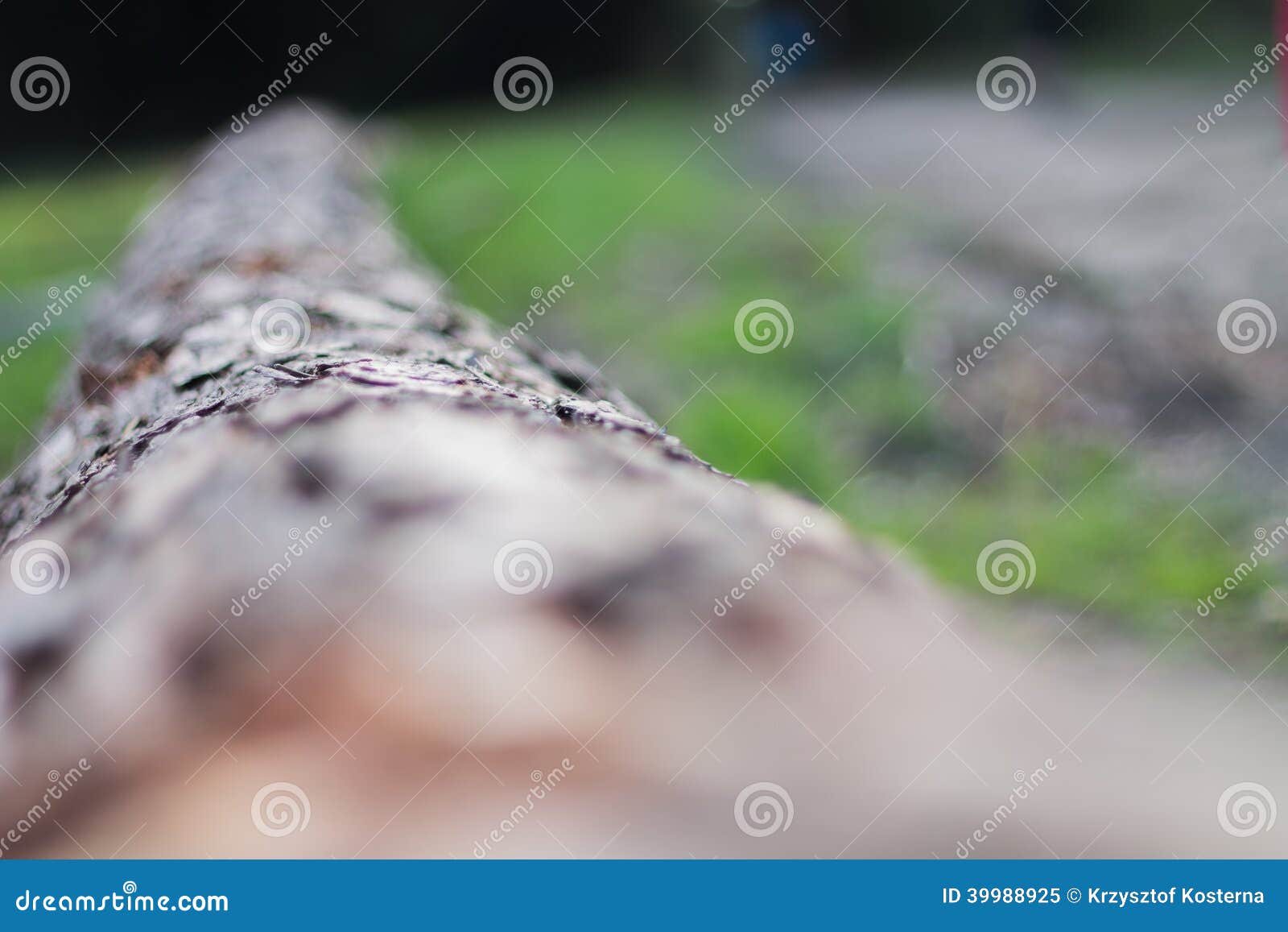 Tree limb stock image. Image of bough, trees, work, wood - 39988925