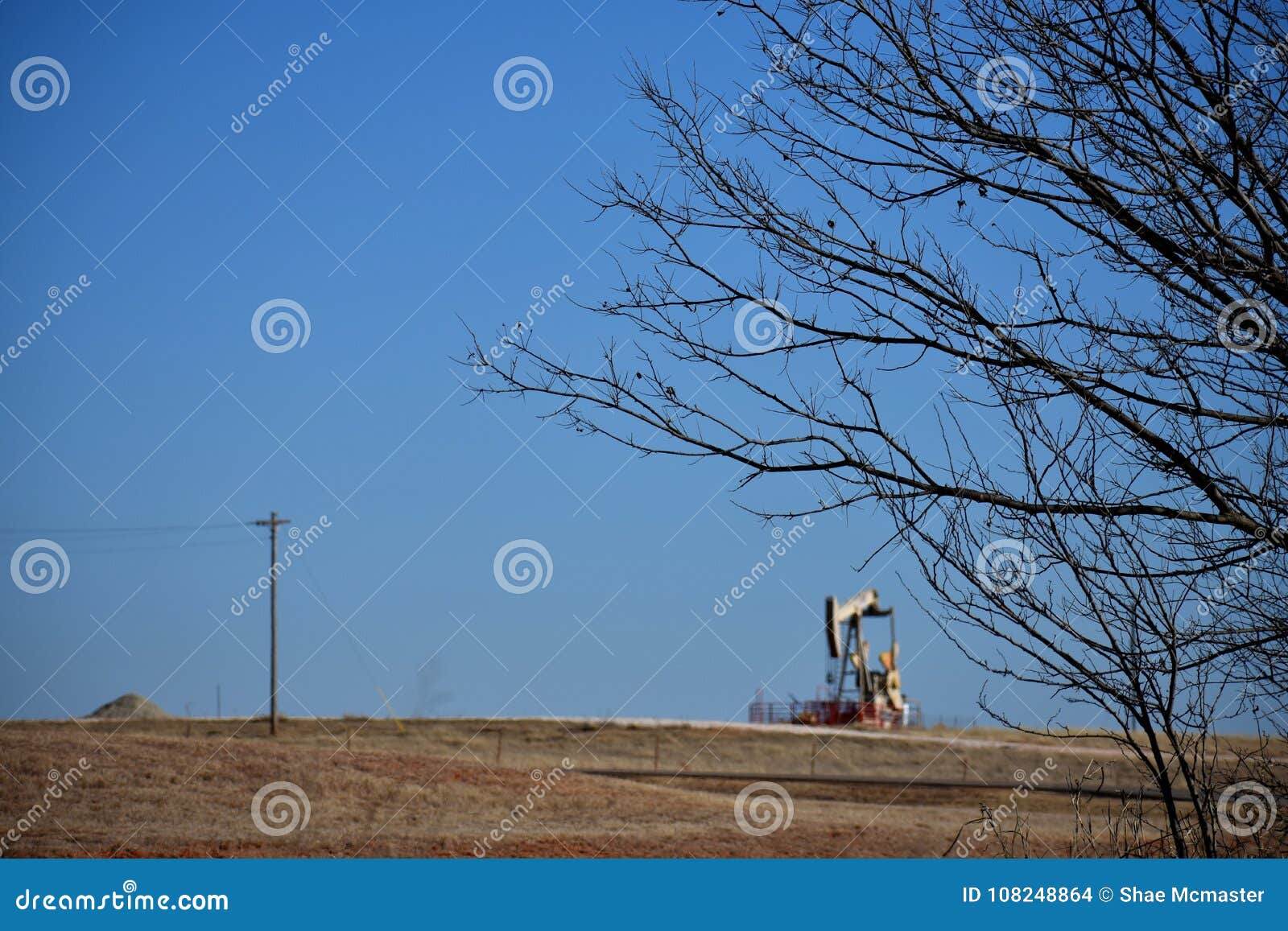 Tree Limbs Stacked Up In The Woods For Shelter Stock Image ...