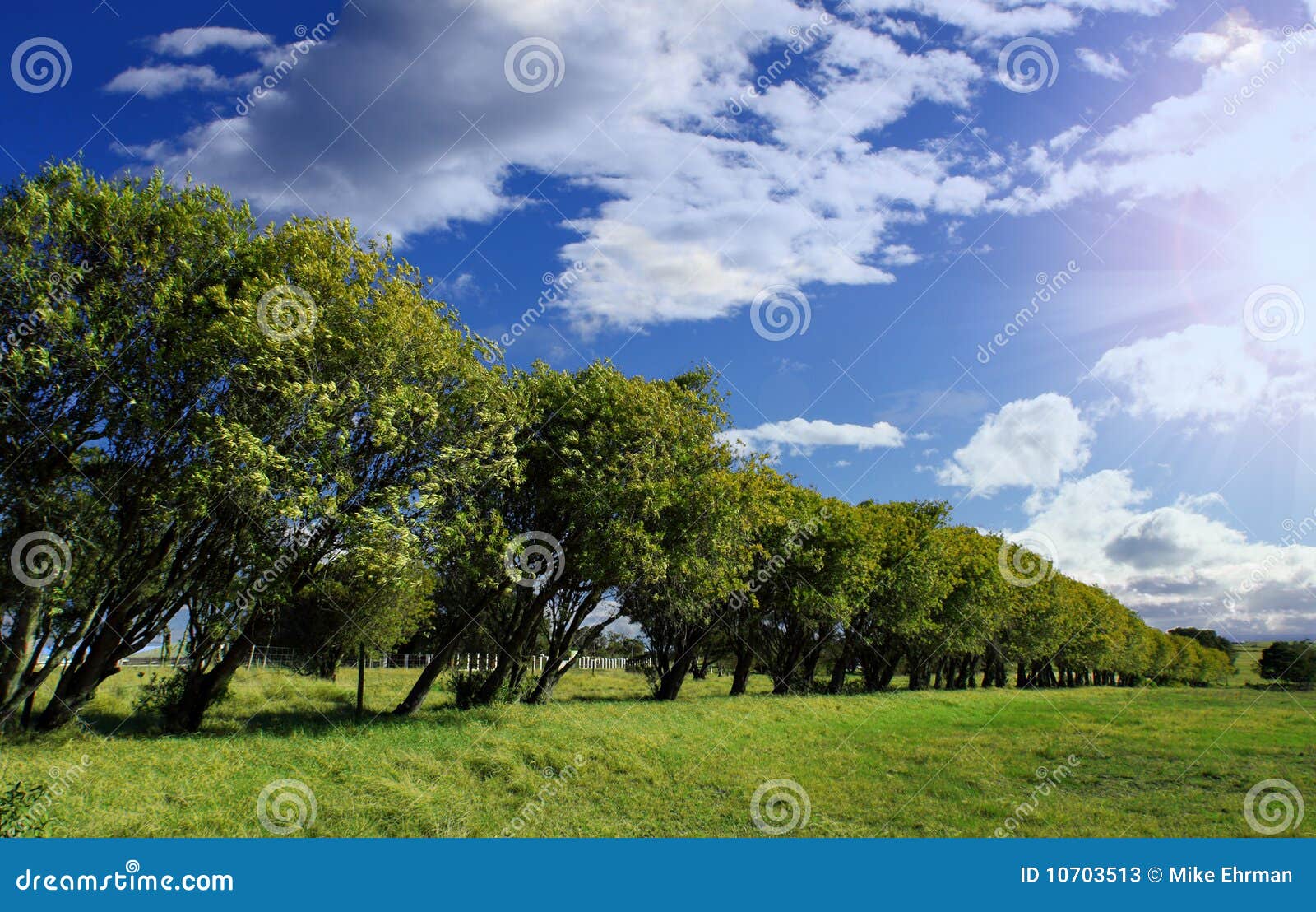 41,734 Scenic Tree Line Stock Photos - Free & Royalty-Free Stock Photos ...