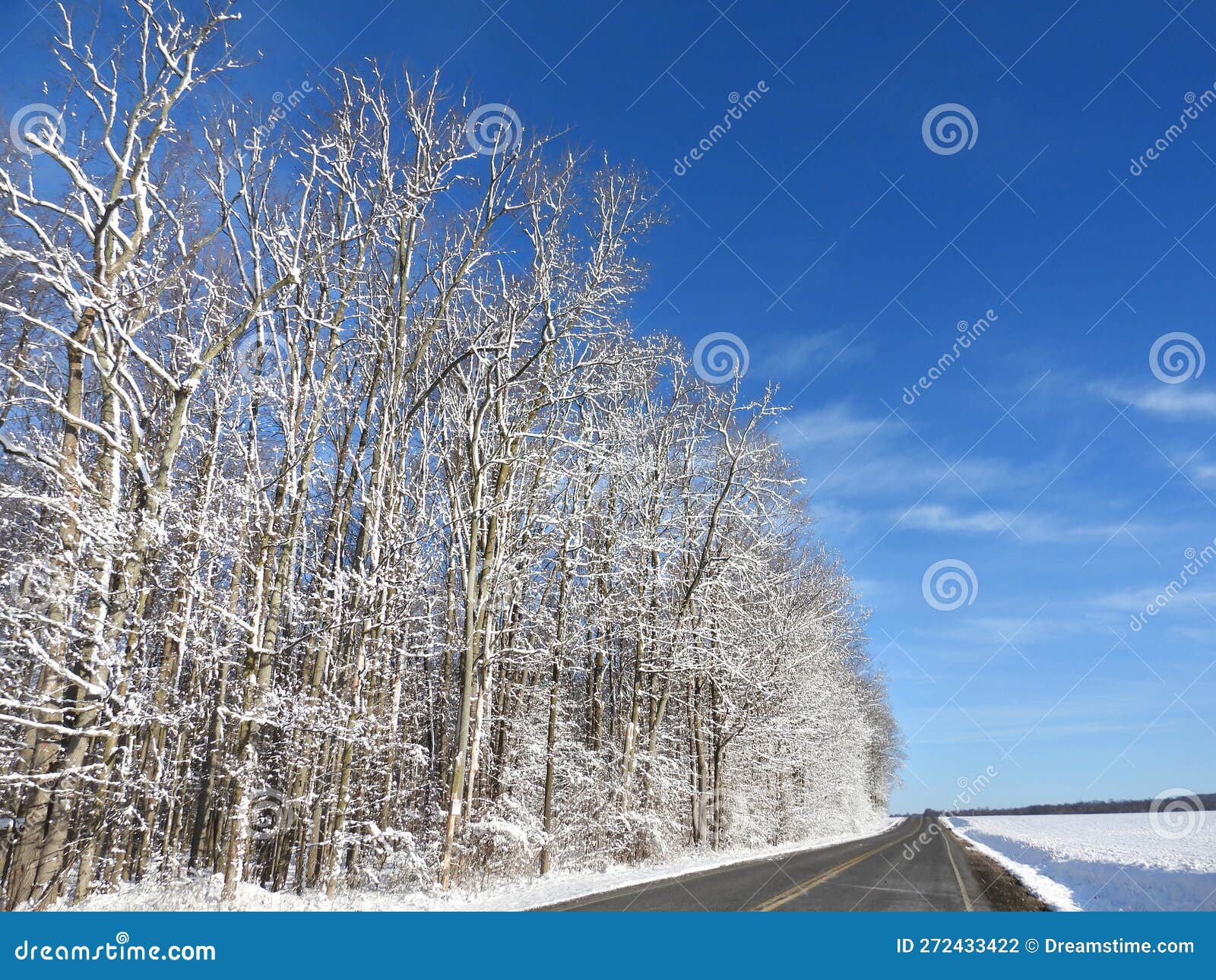 Winter Tree Line Covered in Snow Under Blue Sky Roadway Stock Photo ...