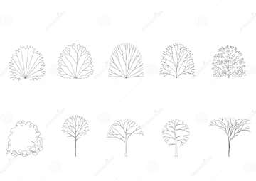 Tree Line Drawing Side View Graphics Stock Vector - Illustration of ...