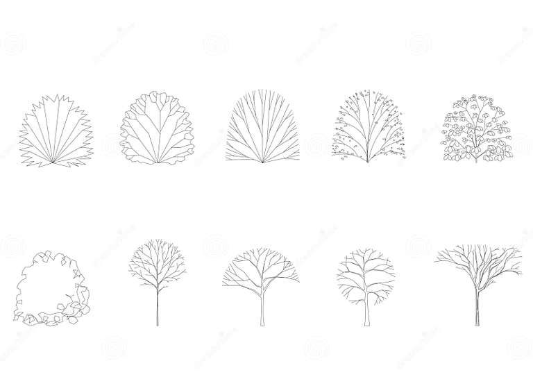 Tree Line Drawing Side View Graphics Stock Vector - Illustration of ...