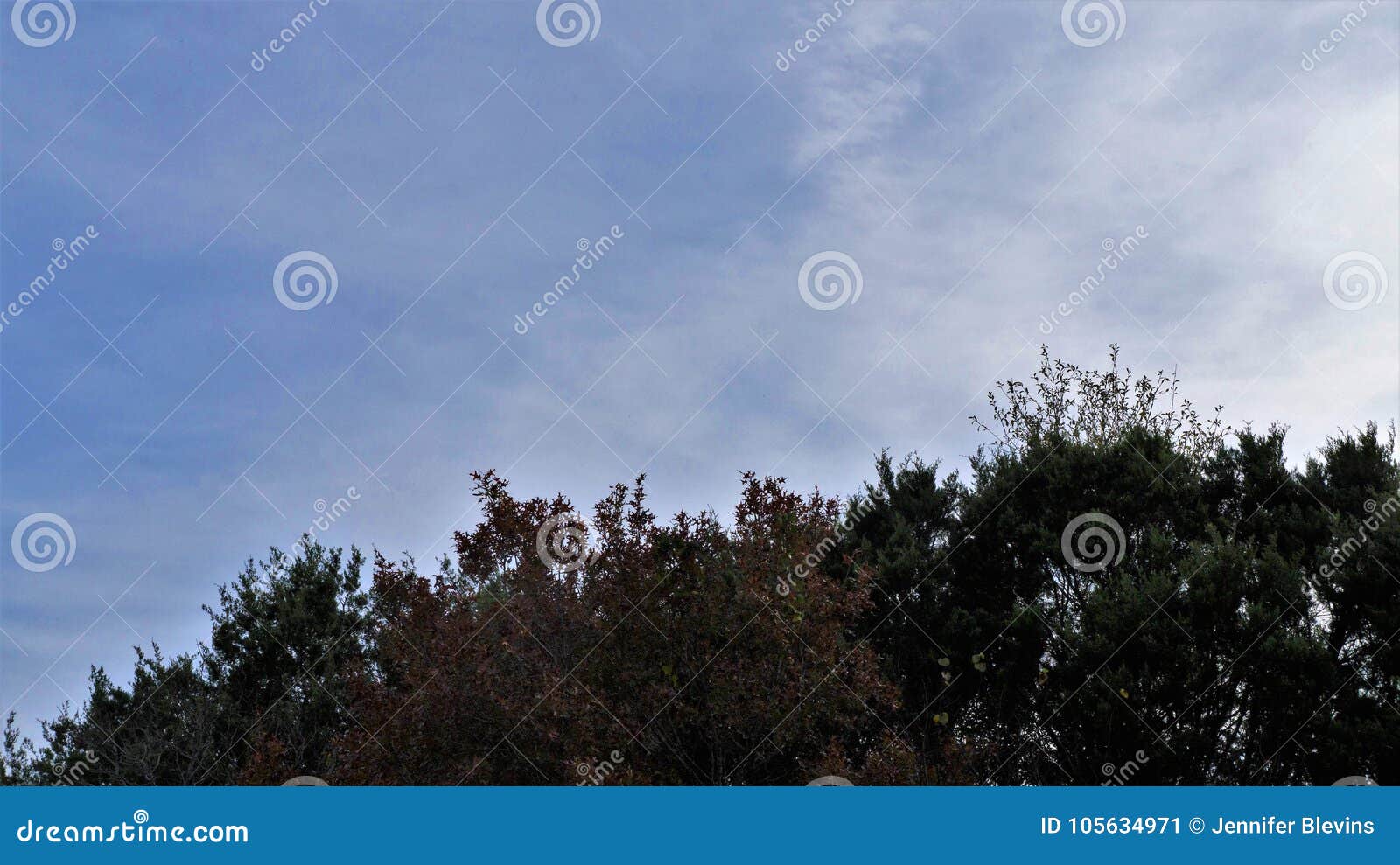 Autumn Tree Line stock image. Image of backdrop, maple - 105634971