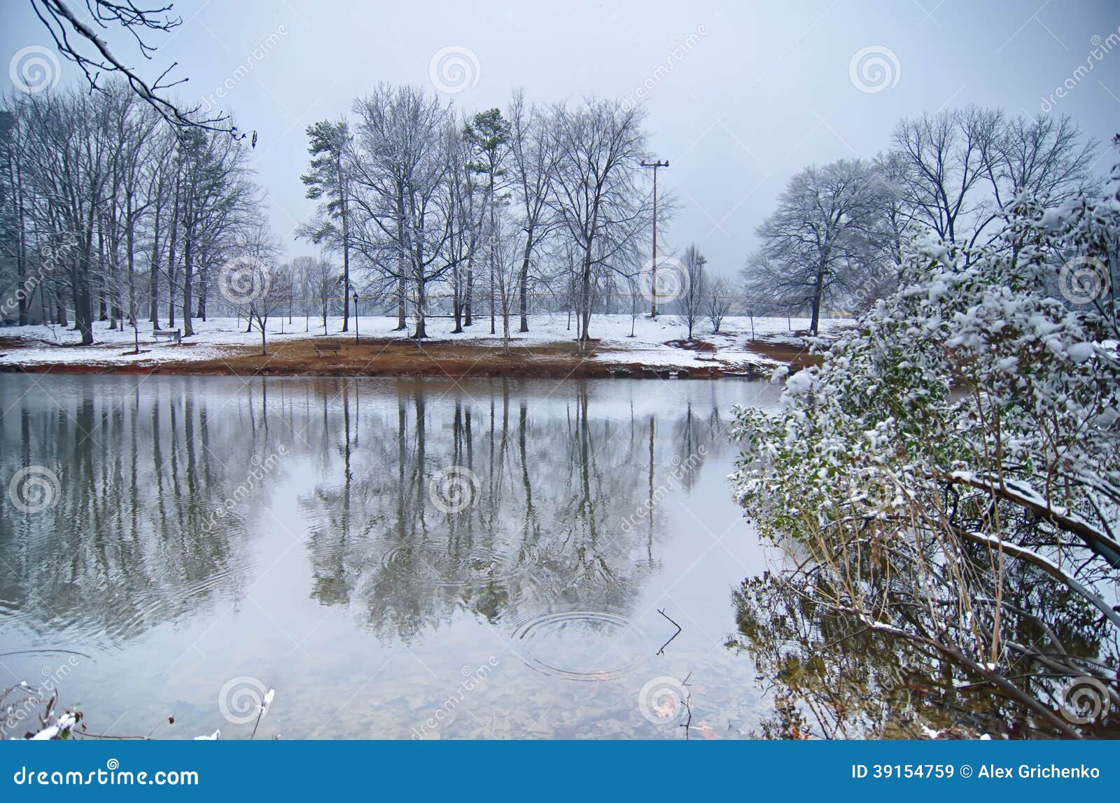 Tree Line Reflections in Lake during Winter Stock Image - Image of pond ...