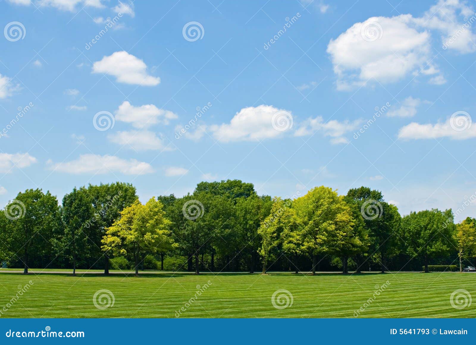 Tree Line with Sky stock image. Image of outdoors, copy - 5641793