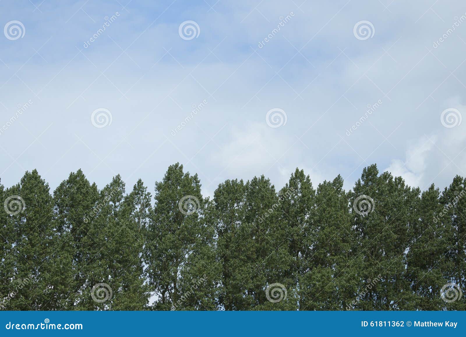 Tree Line Sky Stock Images - Download 32,617 Photos