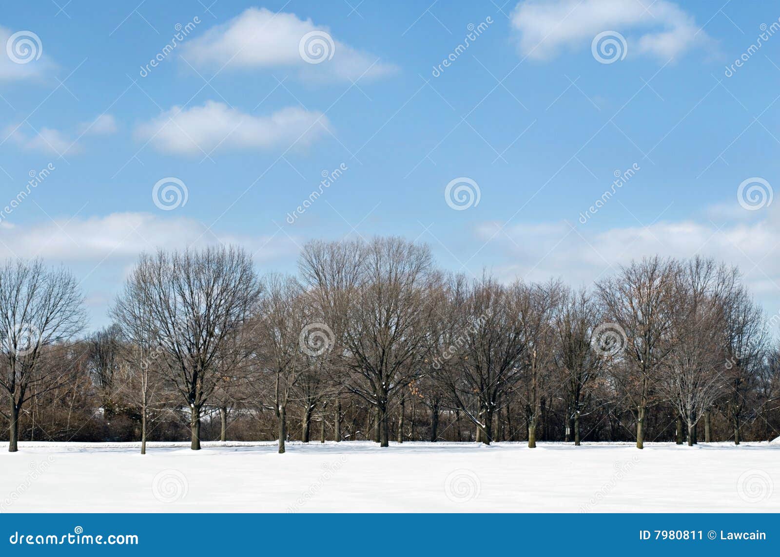 Tree Line in Snow with Sky stock image. Image of ohio - 7980811