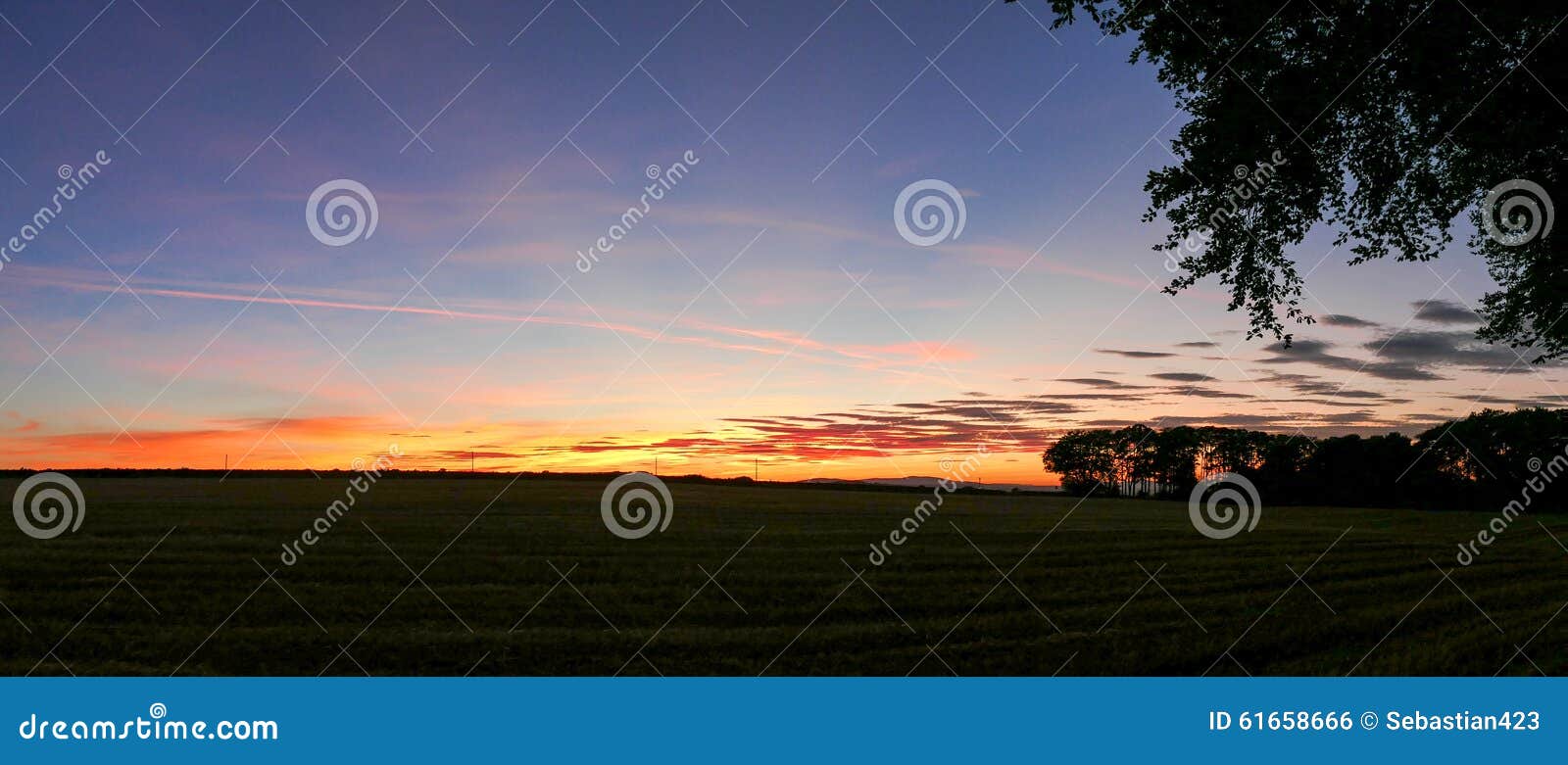 Tree Line during Sunset - Panorama Picture Stock Photo - Image of line ...