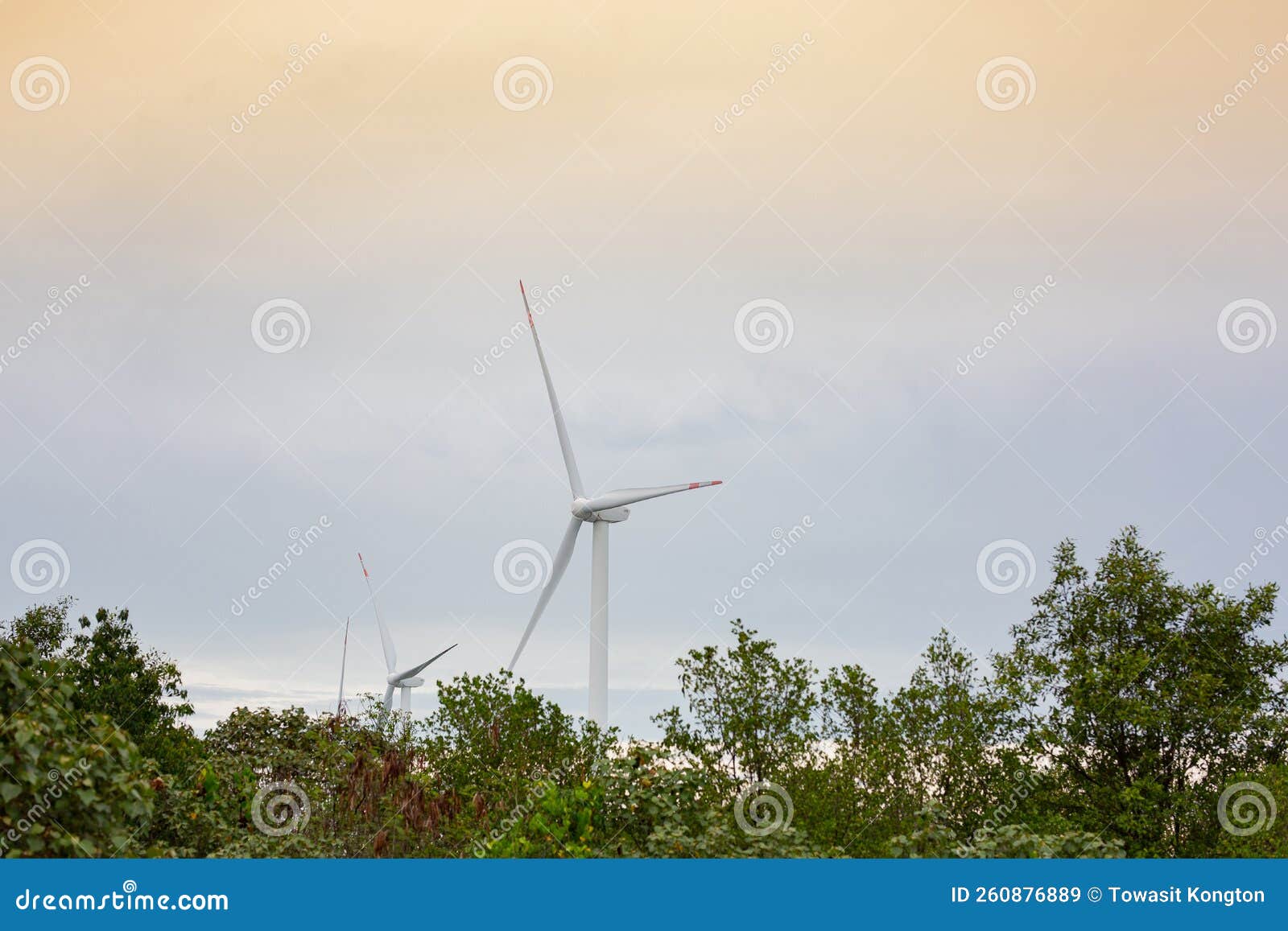 Tree Line with Wind Turbines Stock Image - Image of noordoostpolder ...