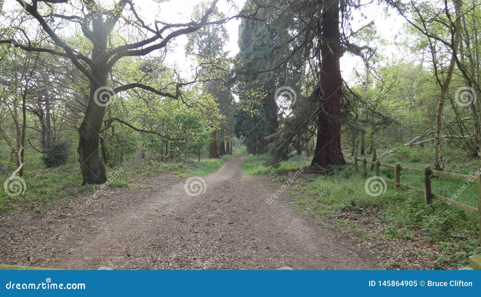 Havering Stock Photos - Free & Royalty-Free Stock Photos from Dreamstime