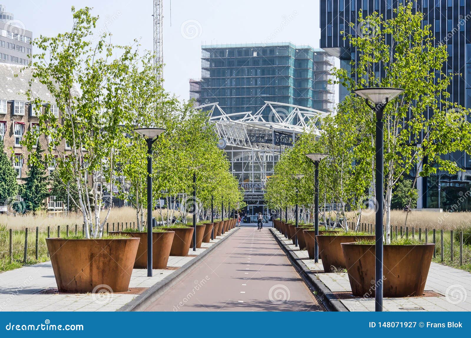 Tree-lined Bicycle Path To the Station Editorial Photography - Image of ...