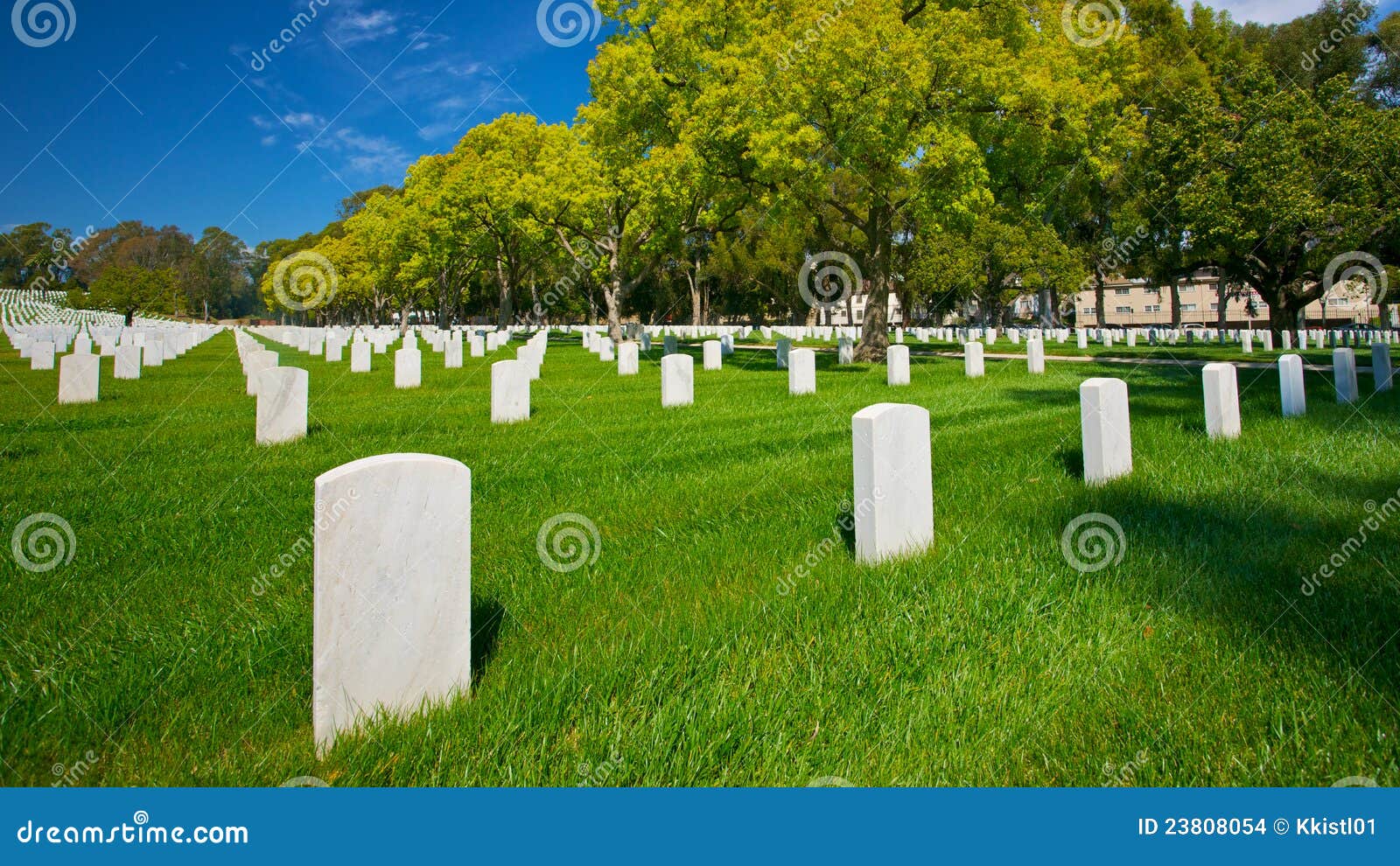 Tree-lined Cemetery Road stock photo. Image of burial - 23808054