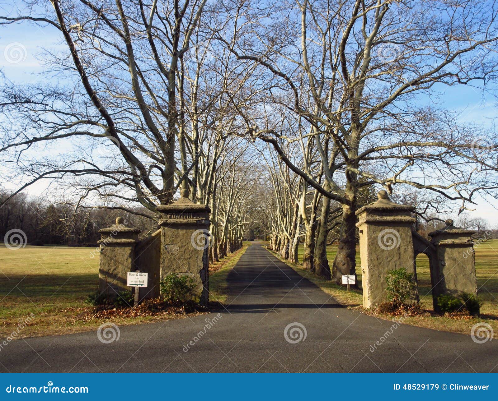 Tree Lined Driveway stock image. Image of still, autumn - 48529179