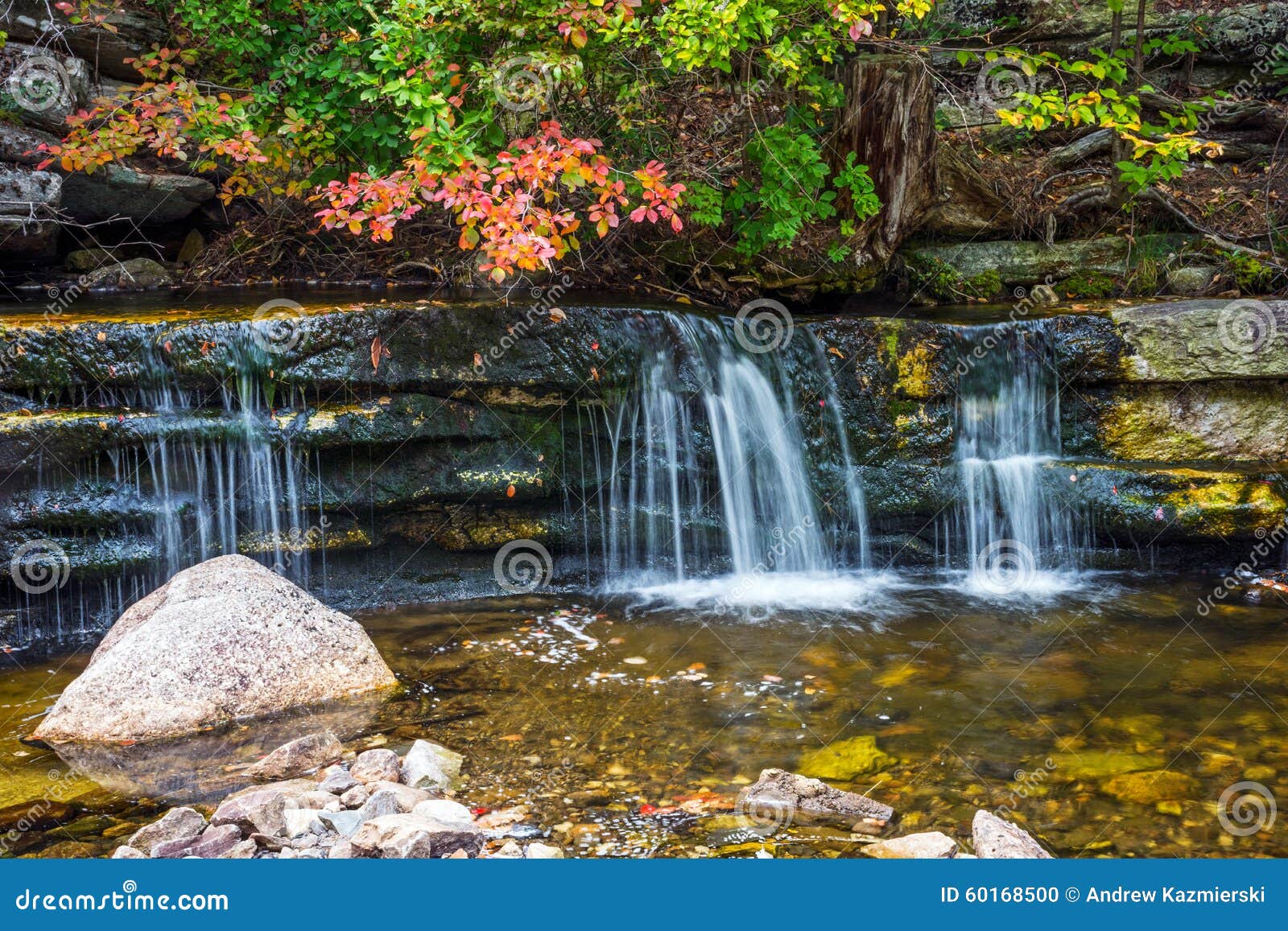 Tree Lined Field stock photo. Image of morning, rural - 60168500