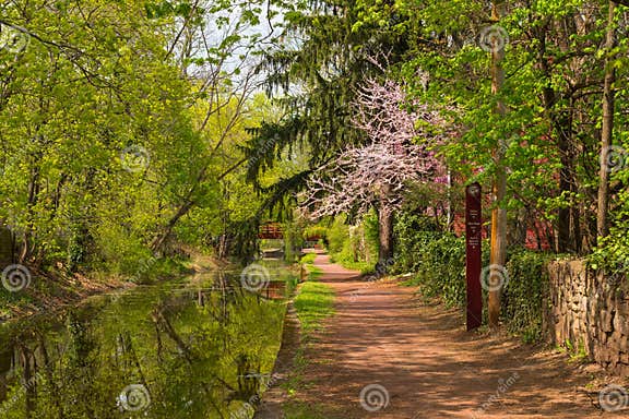 A Tree Lined Hiking Path Along a Canal Editorial Photography - Image of ...