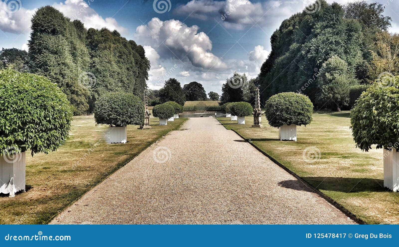 Tree Lined Path Stock Images - 2,499 Photos