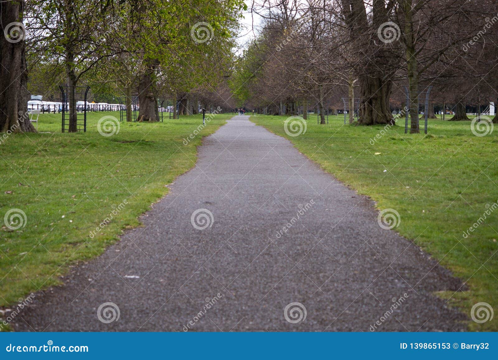 Tree-lined Path through Phoenix Park in Dublin, Ireland Stock Image ...