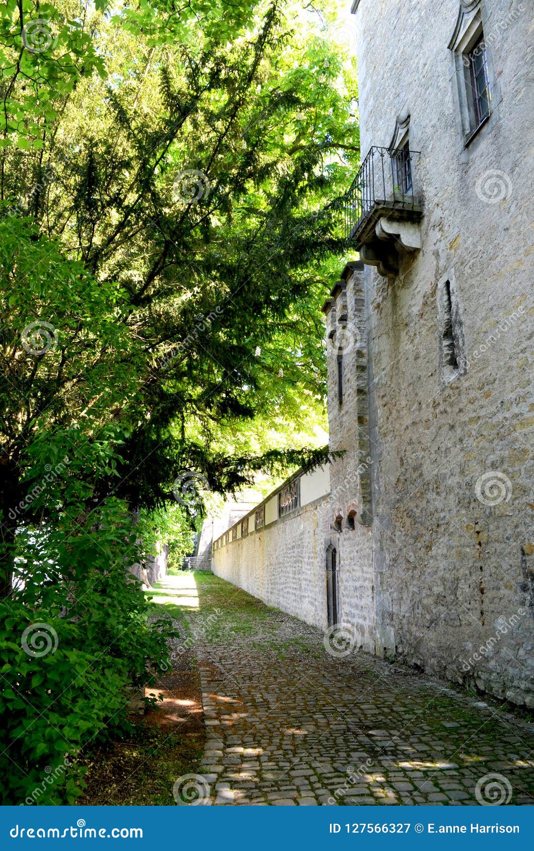 A Tree-lined Path beside a Stone Wall of a House. Stock Image - Image ...