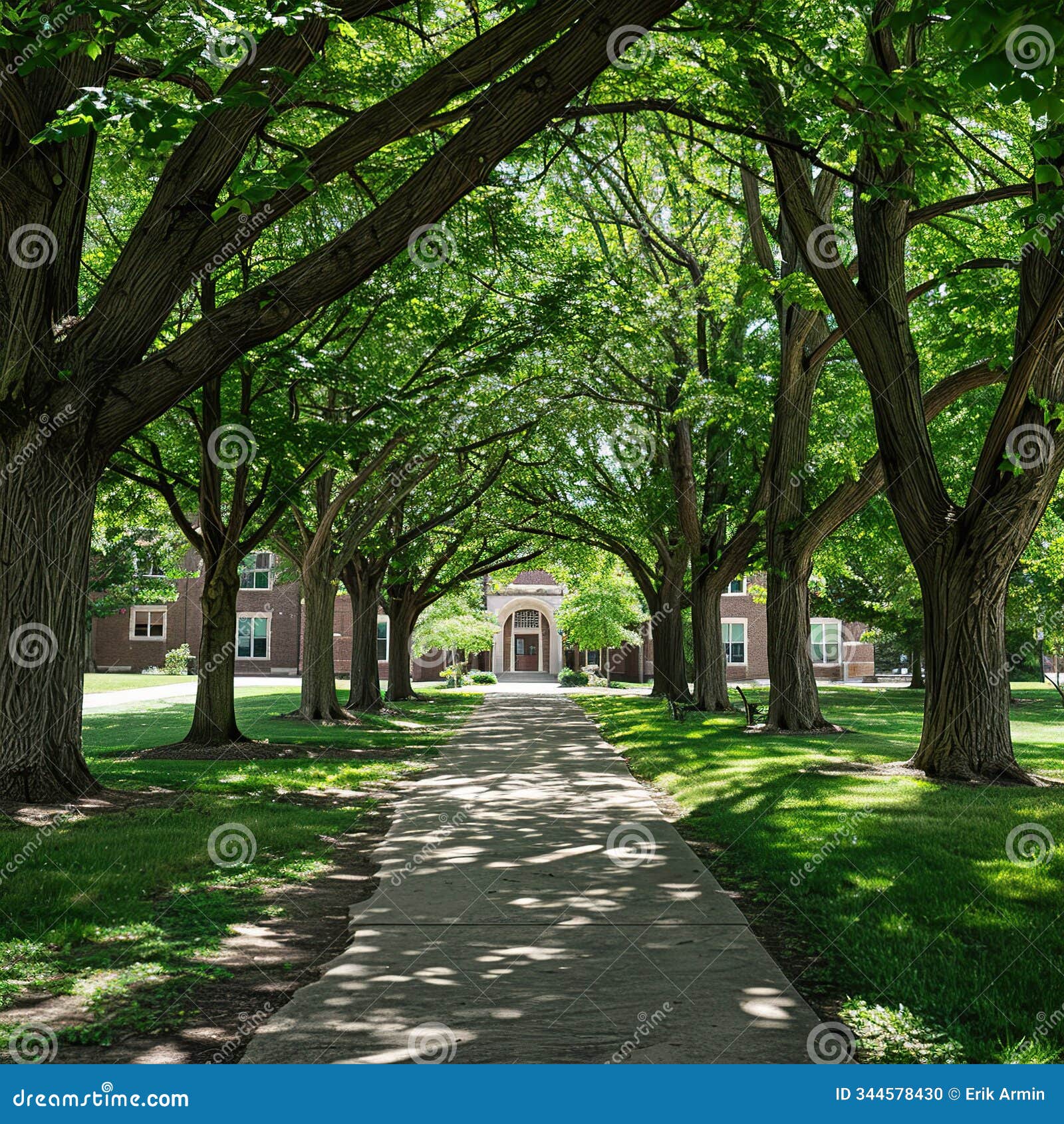 Tree Lined Pathway Leading To the Main Building of a Historic ...