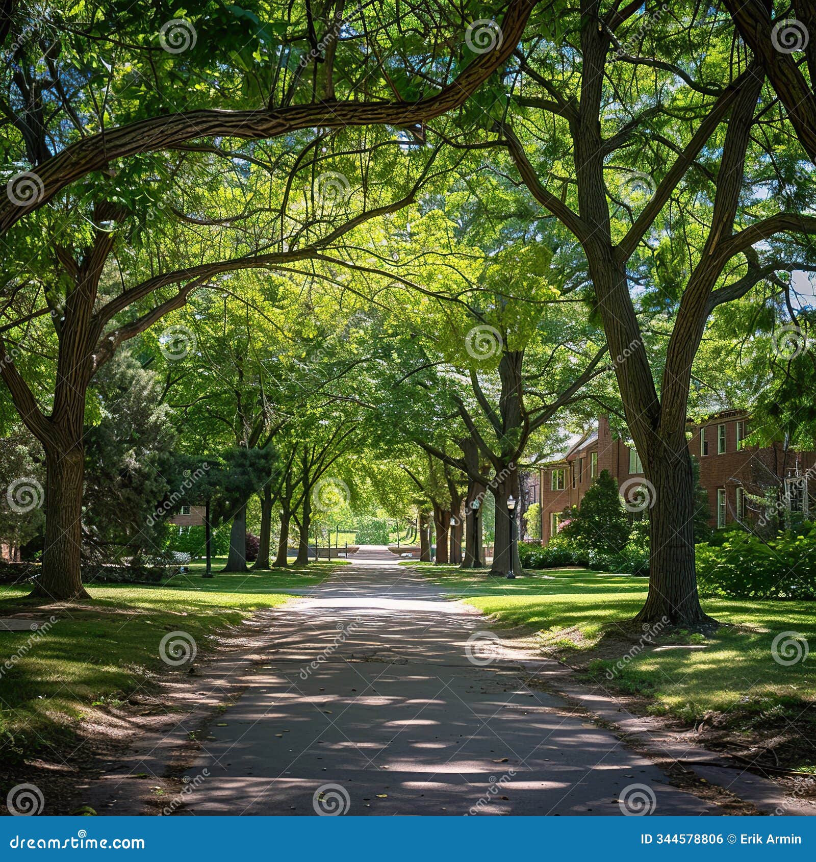 Tree Lined Pathway Leading To the Main Building of a Historic ...