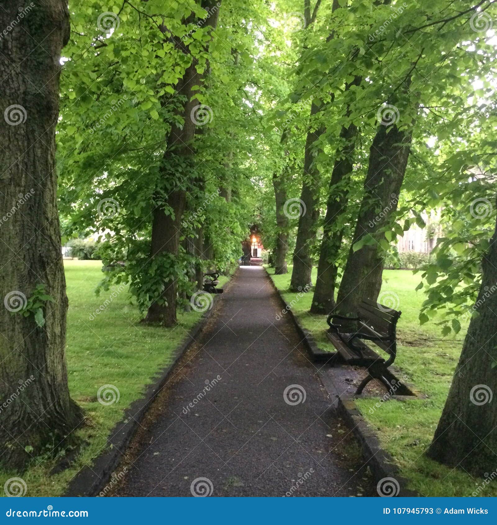 British City Park Path with Bench Stock Image - Image of leading ...