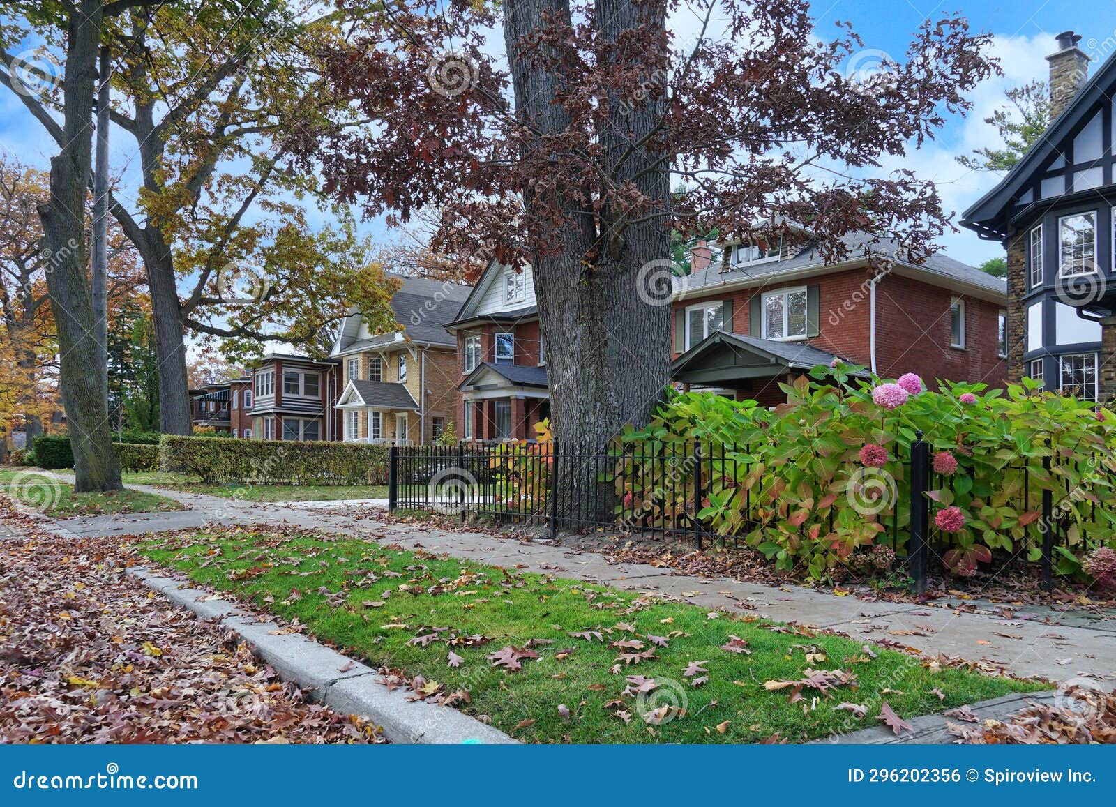 Tree Lined Residential Street in Autumn Stock Photo - Image of lined ...