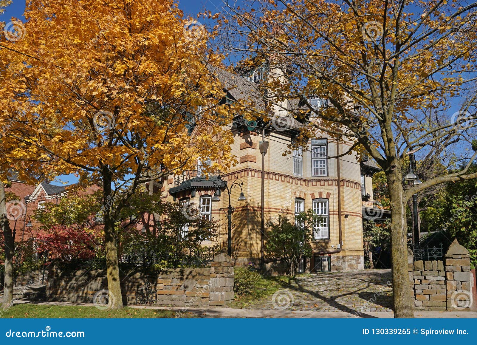 Tree Lined Residential Street with Fall Color Stock Image - Image of ...