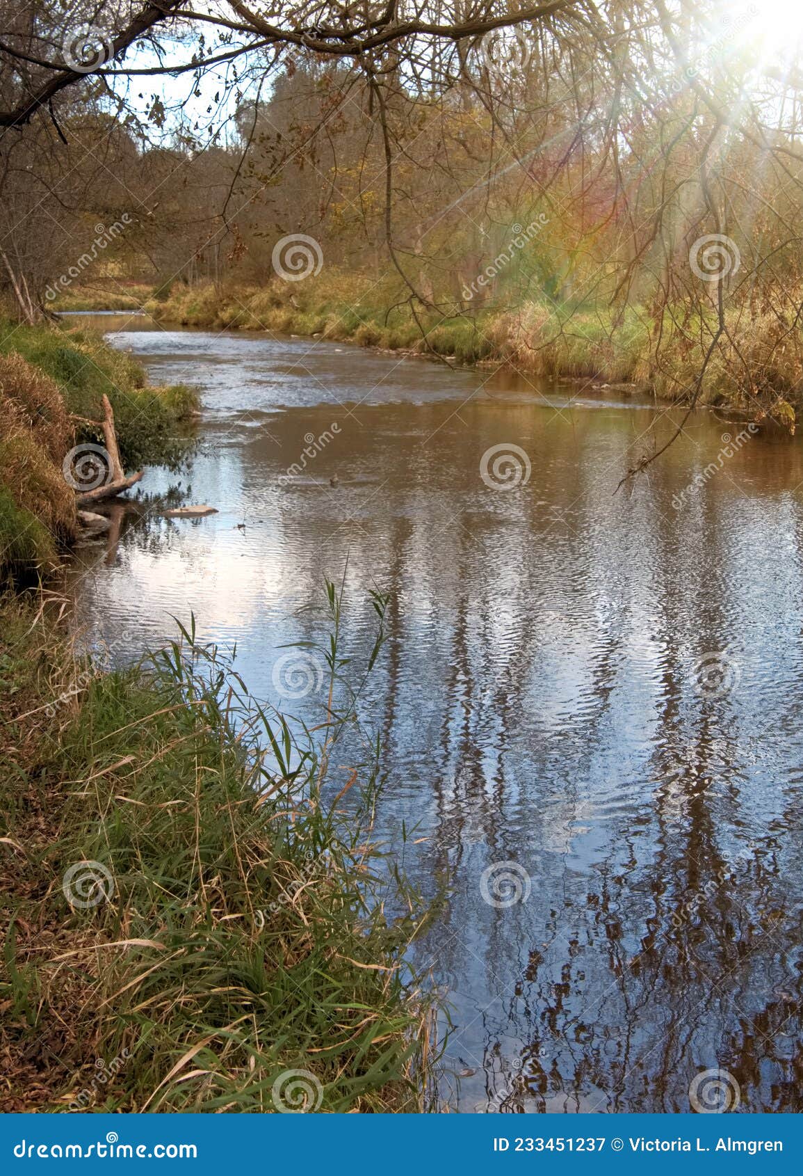 Beautiful River Reflections Landscape with Sunshine Rainbow Stock Image ...