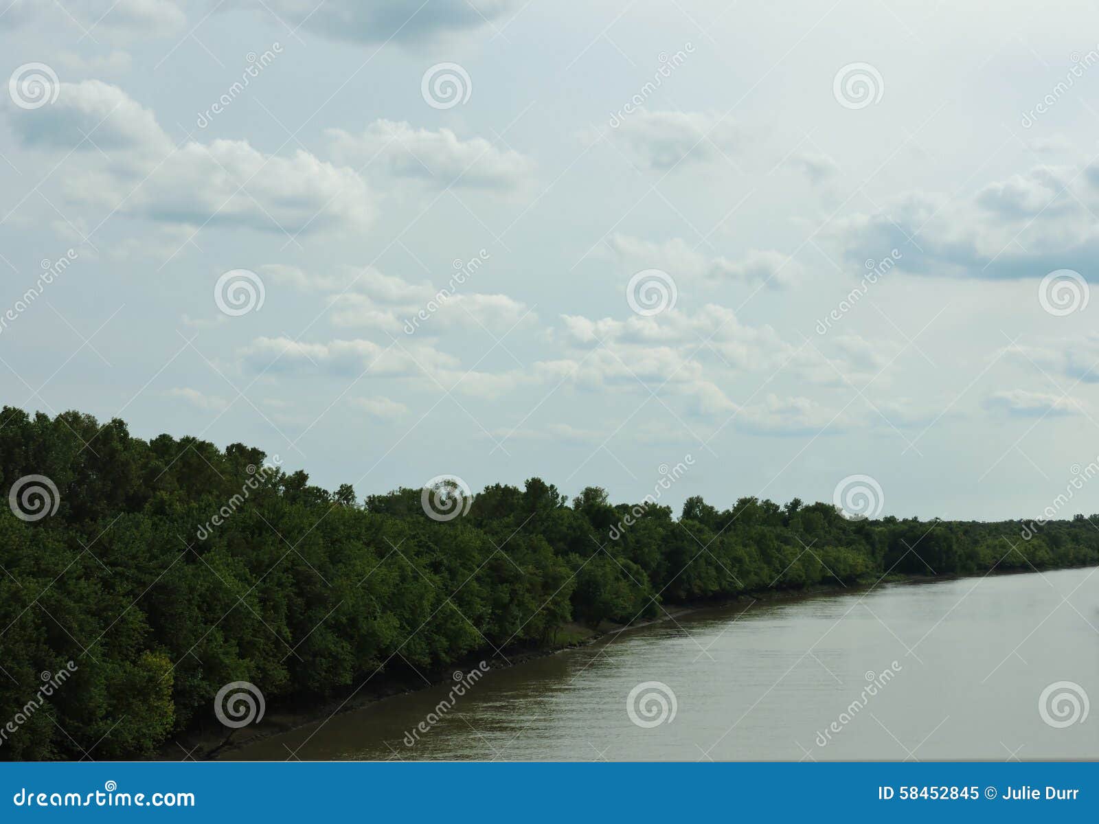 Tree Lined River stock image. Image of shore, tree, river - 58452845