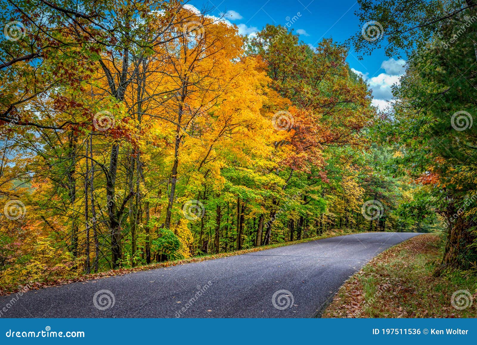 Tree Lined Road Lined with Brilliant Autumn Foliage Stock Photo - Image ...