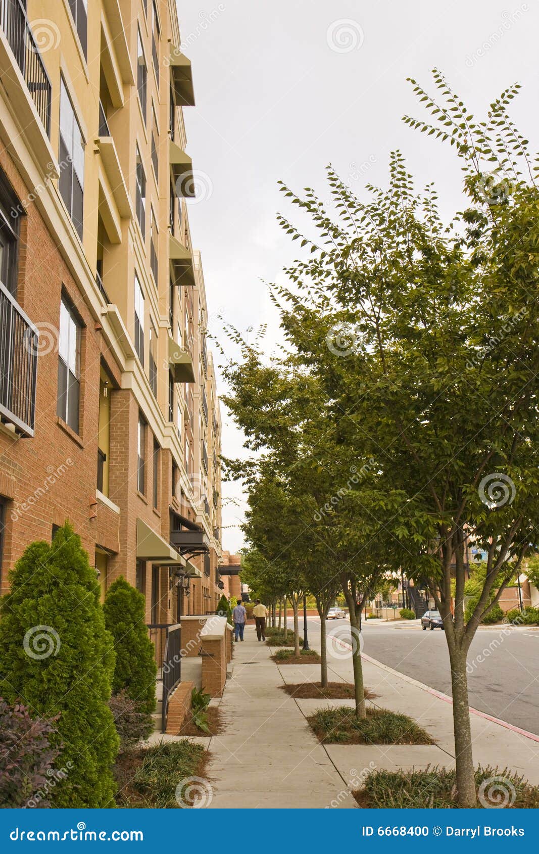 Tree Lined Sidewalk Picture. Image: 6668400